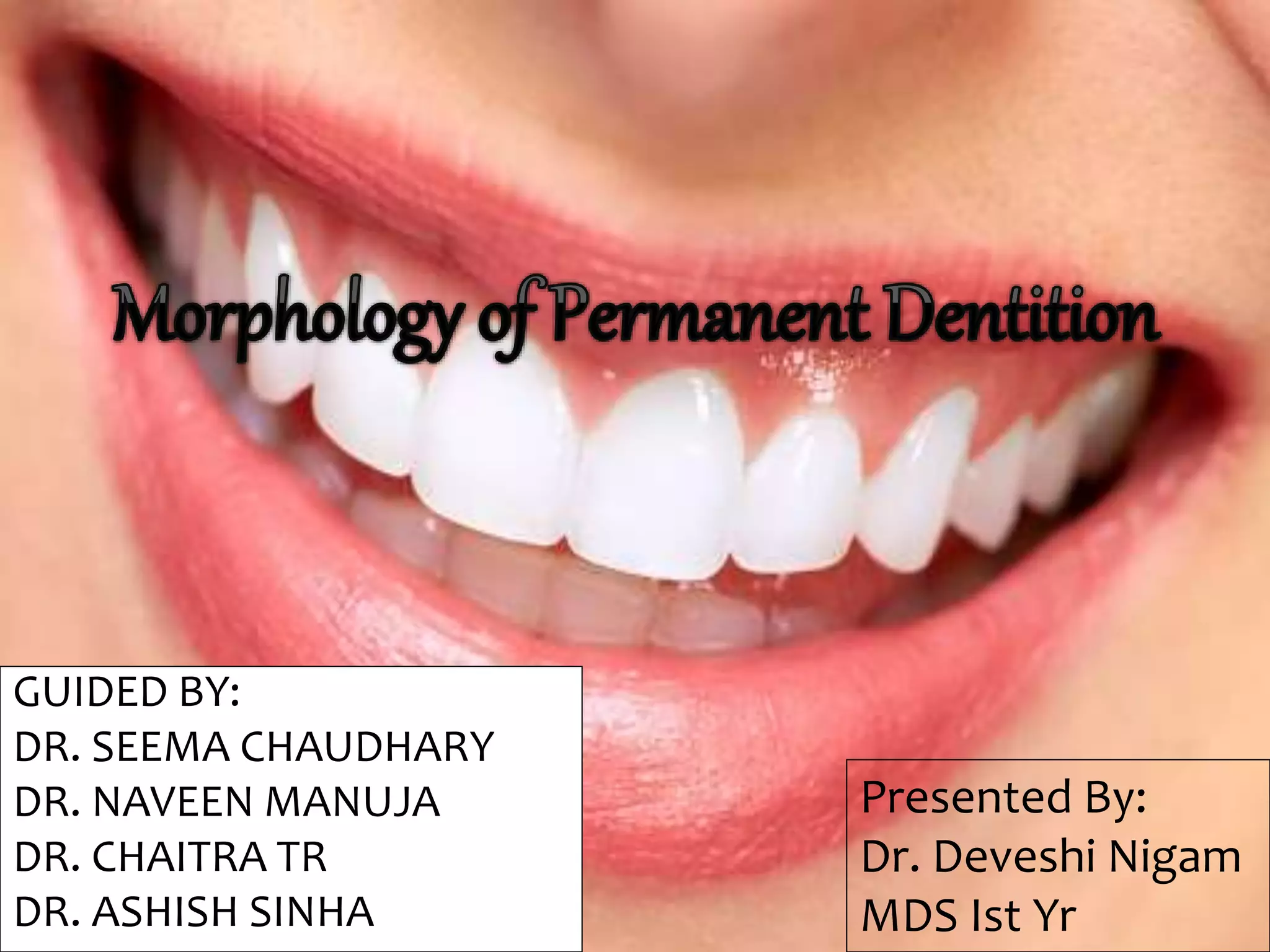 morphology of permanent teeth.pptx | Dental Health | Diseases and Conditions