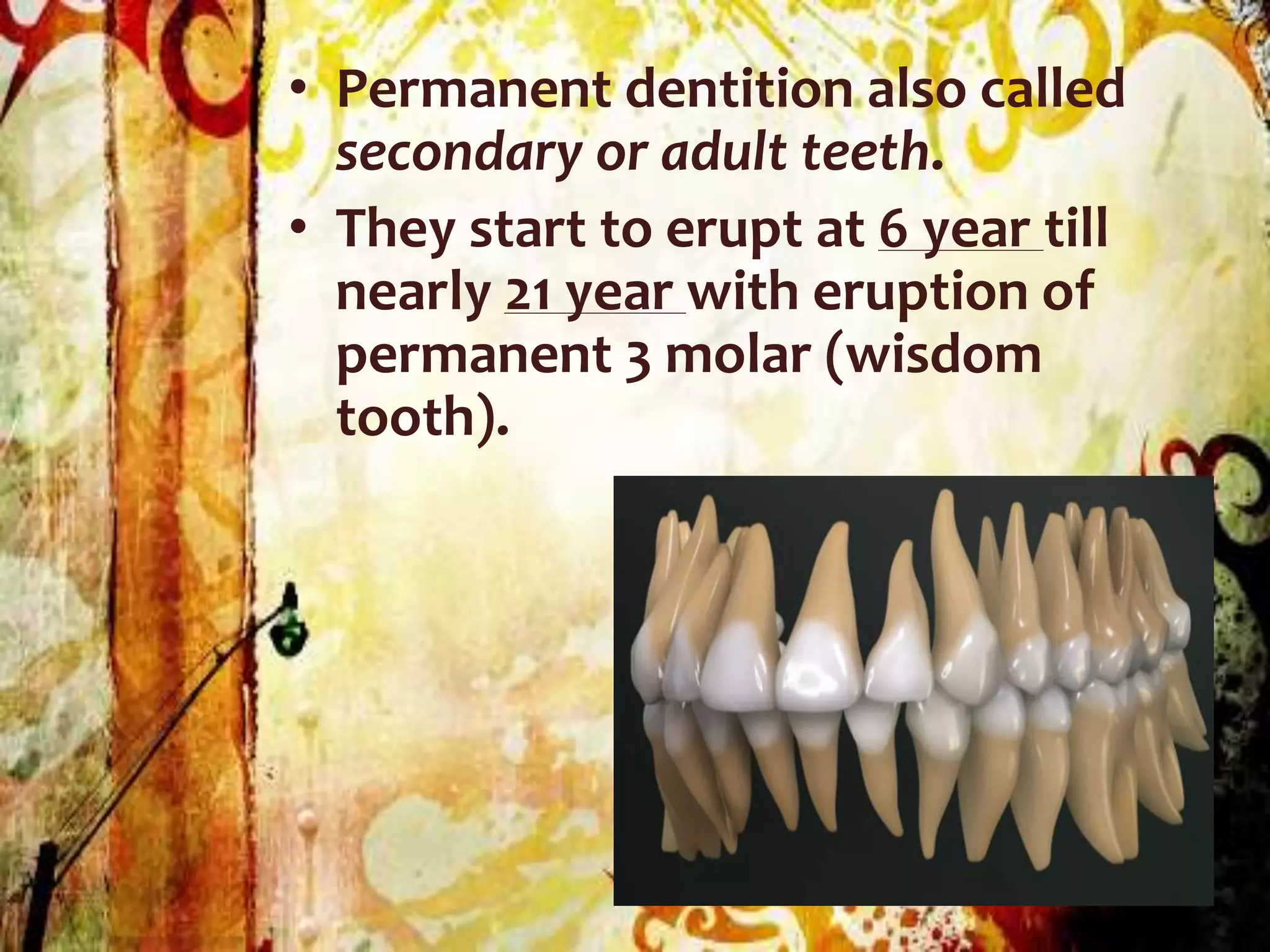 morphology of permanent teeth.pptx