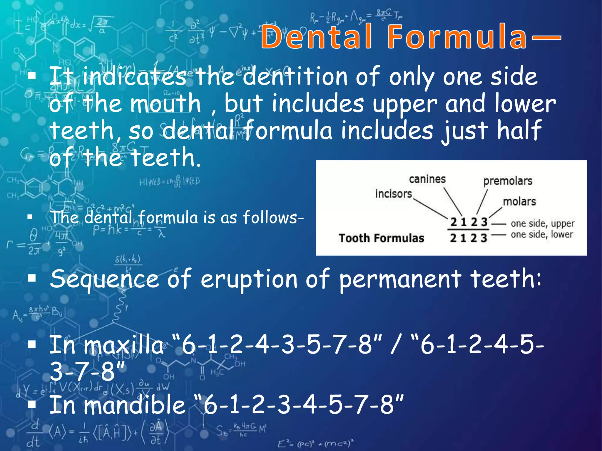 morphology of permanent teeth.pptx