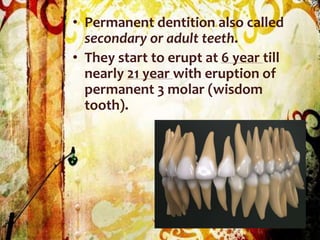 morphology of permanent teeth.pptx