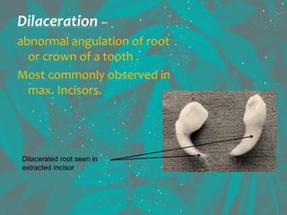 morphology of permanent teeth.pptx