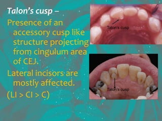 morphology of permanent teeth.pptx