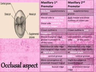 morphology of permanent teeth.pptx