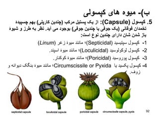 Introduction to morphology of Plants | PDF