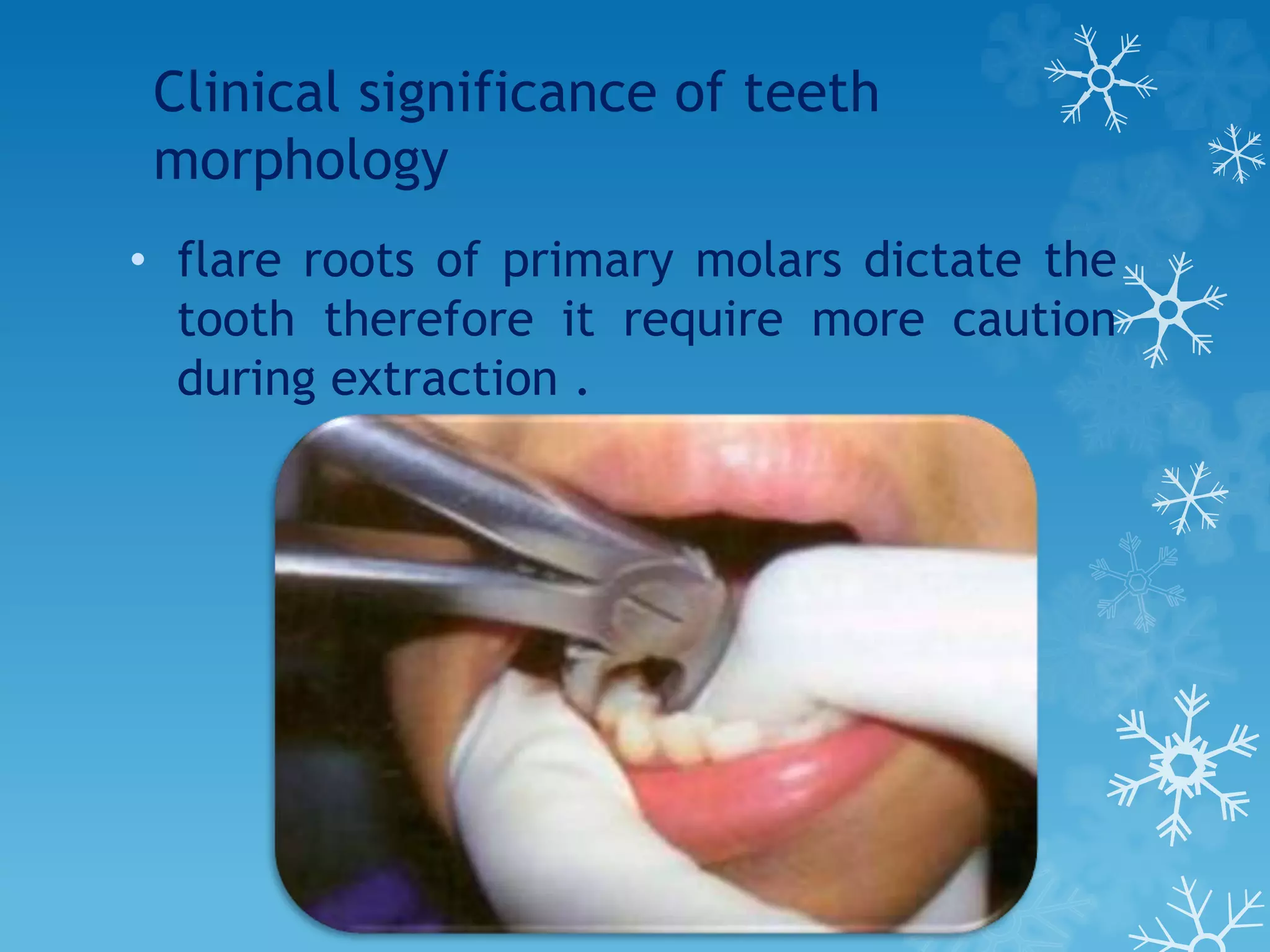 Morphology of primary teeth | PPTX