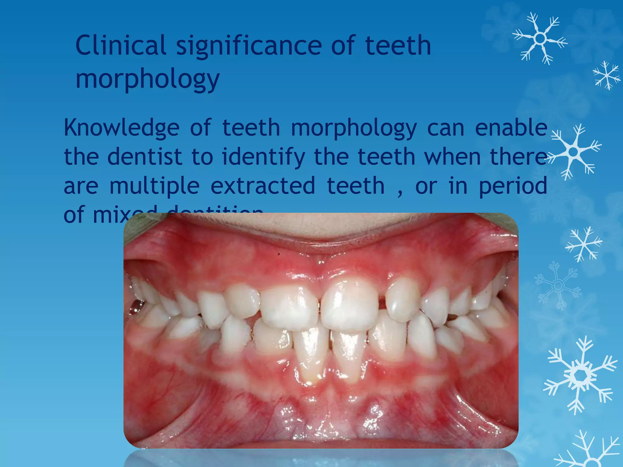 Morphology of primary teeth | PPTX