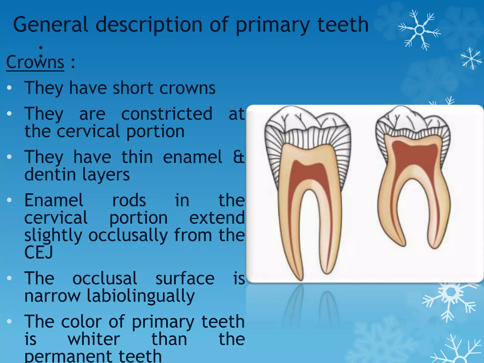 Morphology of primary teeth | PPTX