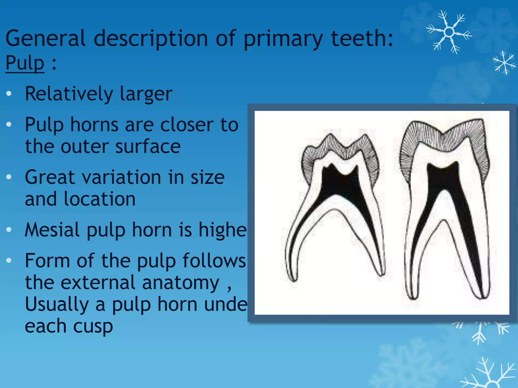 Morphology of primary teeth | PPTX