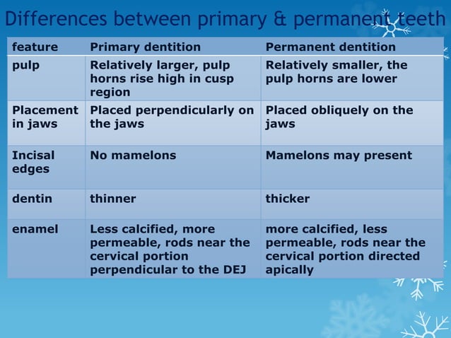 Morphology of primary teeth | PPTX