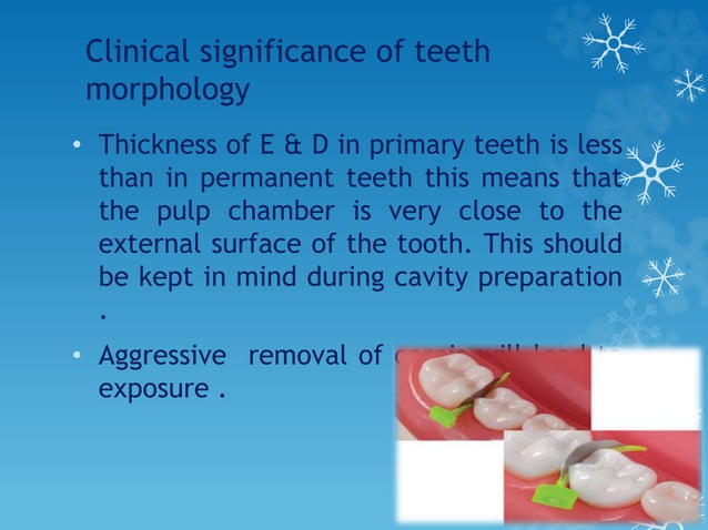 Morphology of primary teeth | PPTX