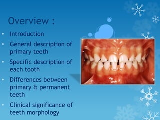 Morphology of primary teeth | PPTX