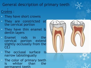 Morphology of primary teeth | PPTX
