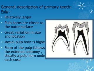 Morphology of primary teeth | PPTX