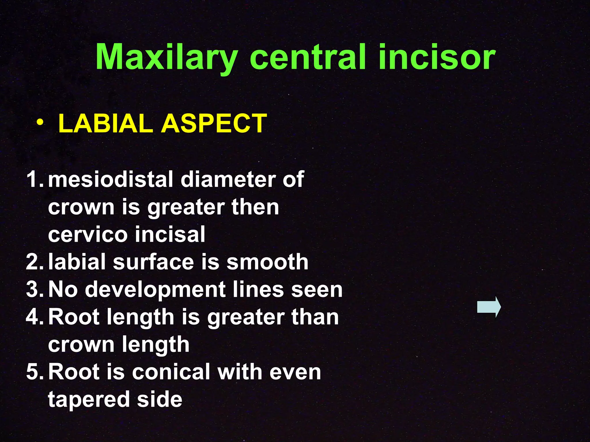Morphology of primary teeth pedodontics | PPT