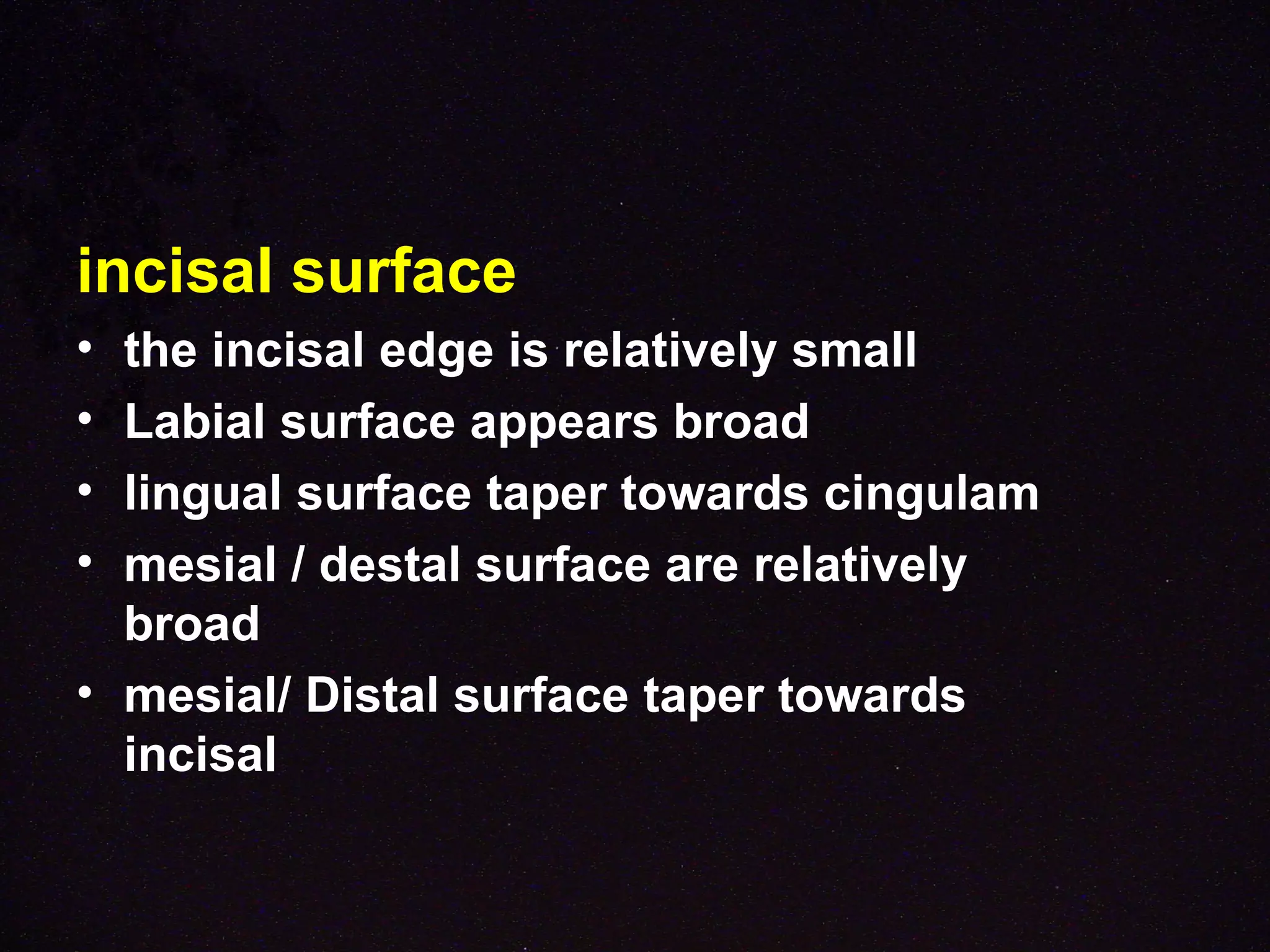 Morphology of primary teeth pedodontics | PPT