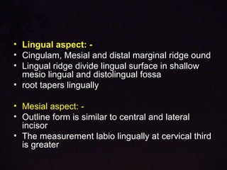 Morphology of primary teeth pedodontics | PPT