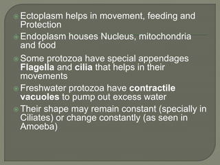 Morphology of protozoa | PPTX