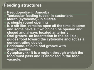 Morphology of protozoa | PPTX
