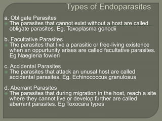 Morphology of protozoa | PPTX