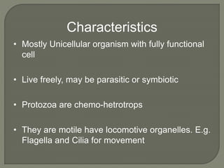 Morphology of protozoa | PPTX