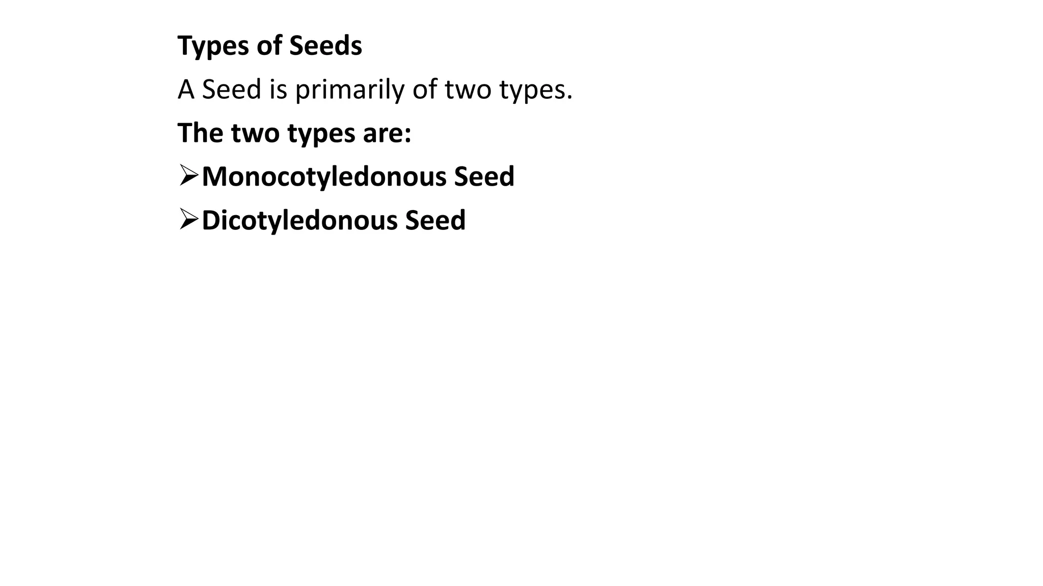 Morphology of Seeds.pptx