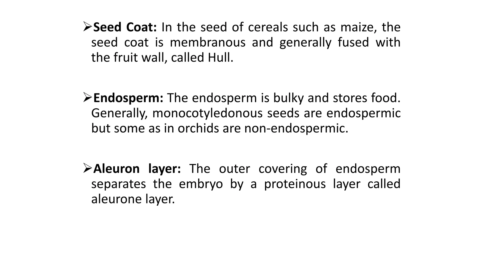 Morphology of Seeds.pptx