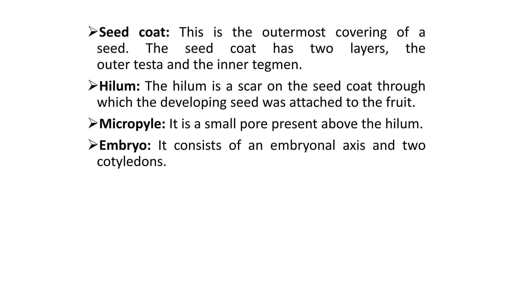 Morphology of Seeds.pptx