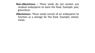 Morphology of Seeds.pptx