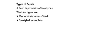 Morphology of Seeds.pptx