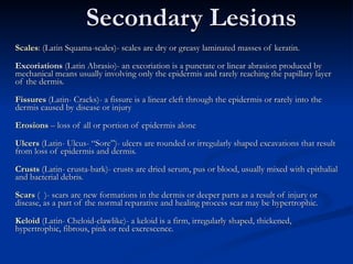 Morphology of skin lesions | PPT