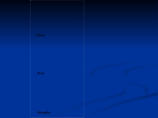 Morphology of skin lesions | PPT
