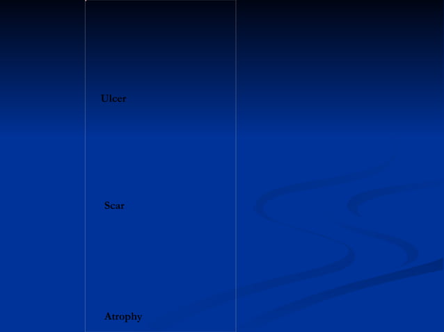 Morphology of skin lesions | PPT | Death, Injury, or Military Conflict ...