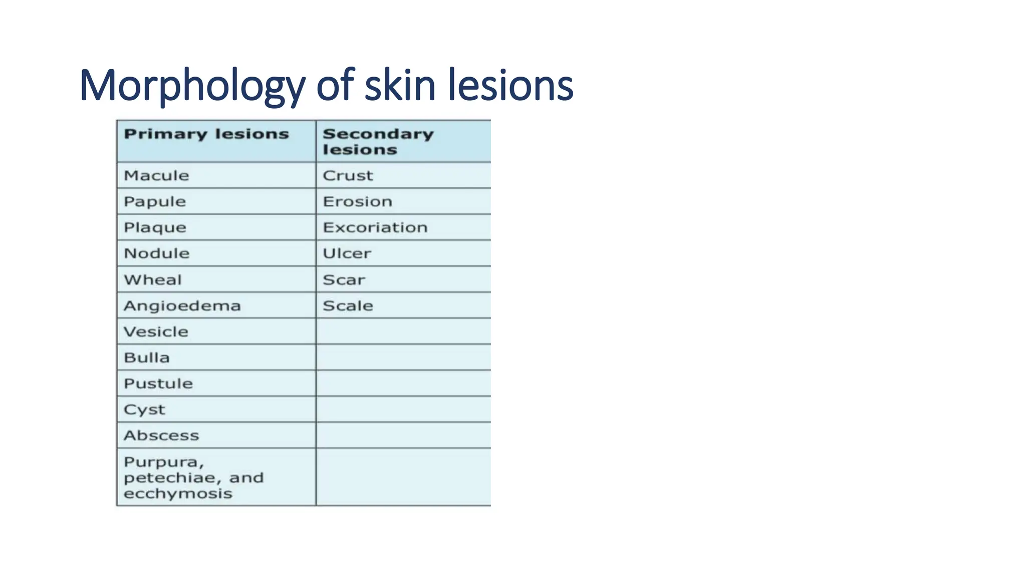 MORPHOLOGY OF SKIN LESIONS powerpoint dvl | PPT