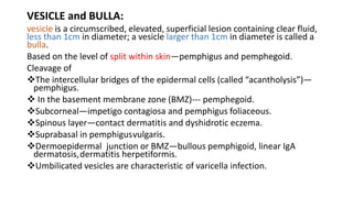 MORPHOLOGY OF SKIN LESIONS powerpoint dvl | PPT