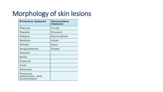 MORPHOLOGY OF SKIN LESIONS powerpoint dvl | PPT
