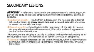 MORPHOLOGY OF SKIN LESIONS powerpoint dvl | PPT