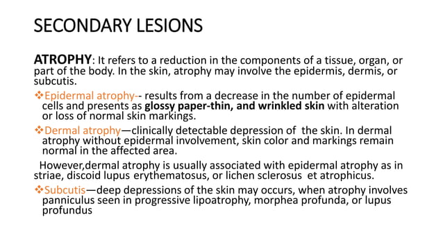 MORPHOLOGY OF SKIN LESIONS powerpoint dvl | PPT