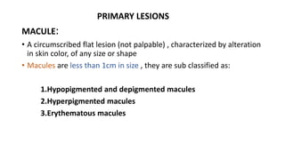 MORPHOLOGY OF SKIN LESIONS powerpoint dvl | PPT