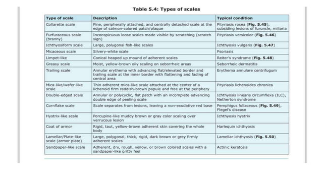 MORPHOLOGY OF SKIN LESIONS powerpoint dvl | PPT