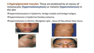 MORPHOLOGY OF SKIN LESIONS powerpoint dvl | PPTX