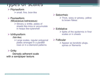 Morphology of skin lesions tim | PDF