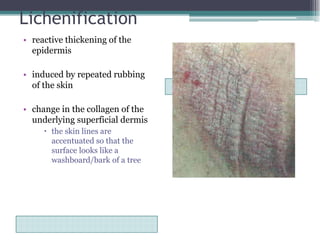 Morphology of skin lesions tim | PDF