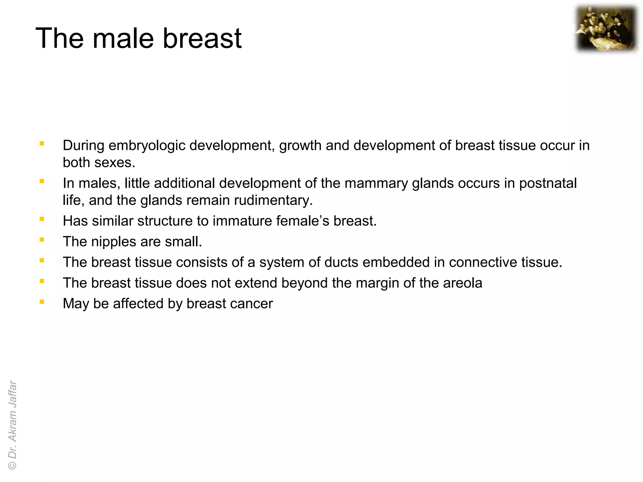 Morphology of the mammary gland | PPT
