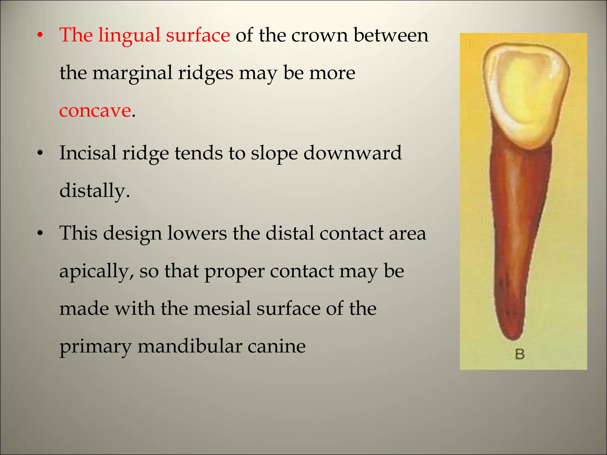 Morphology of tooth | PPT