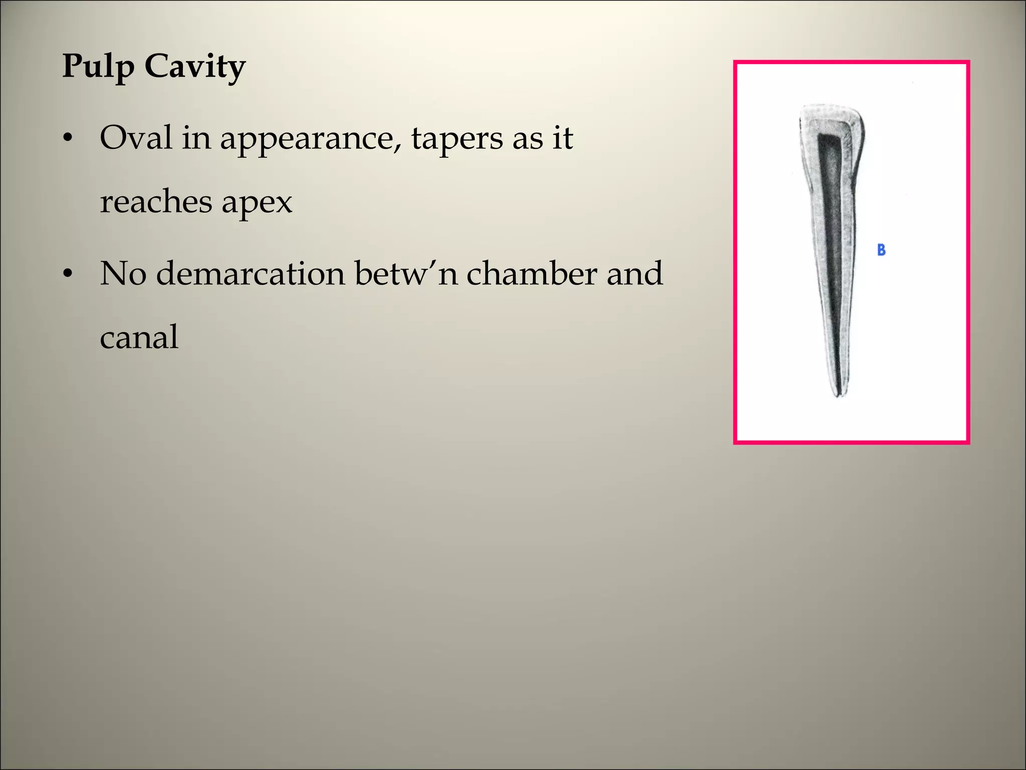 Morphology of tooth | PPT