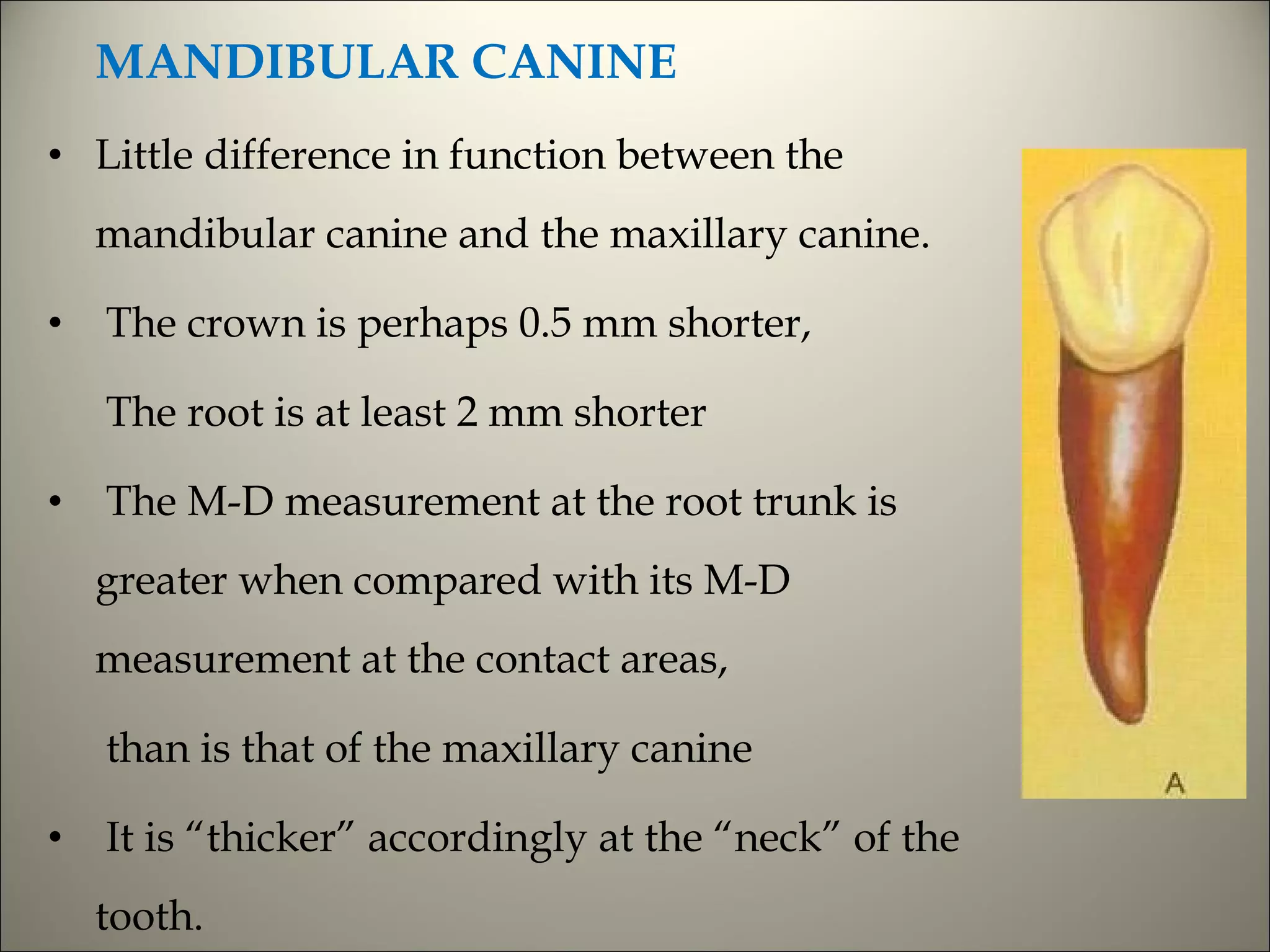 Morphology of tooth | PPT