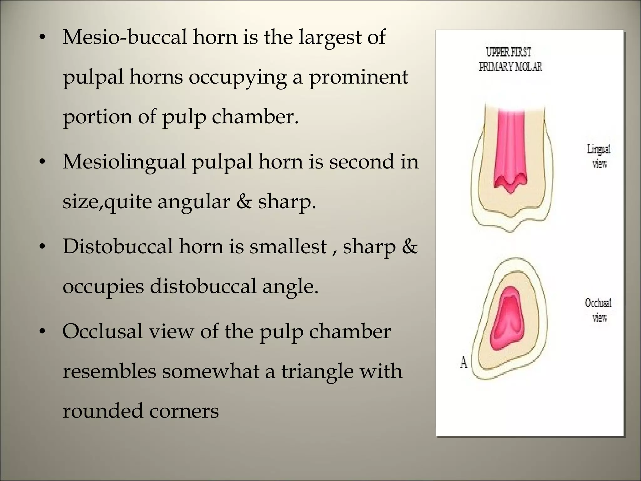 Morphology of tooth | PPT
