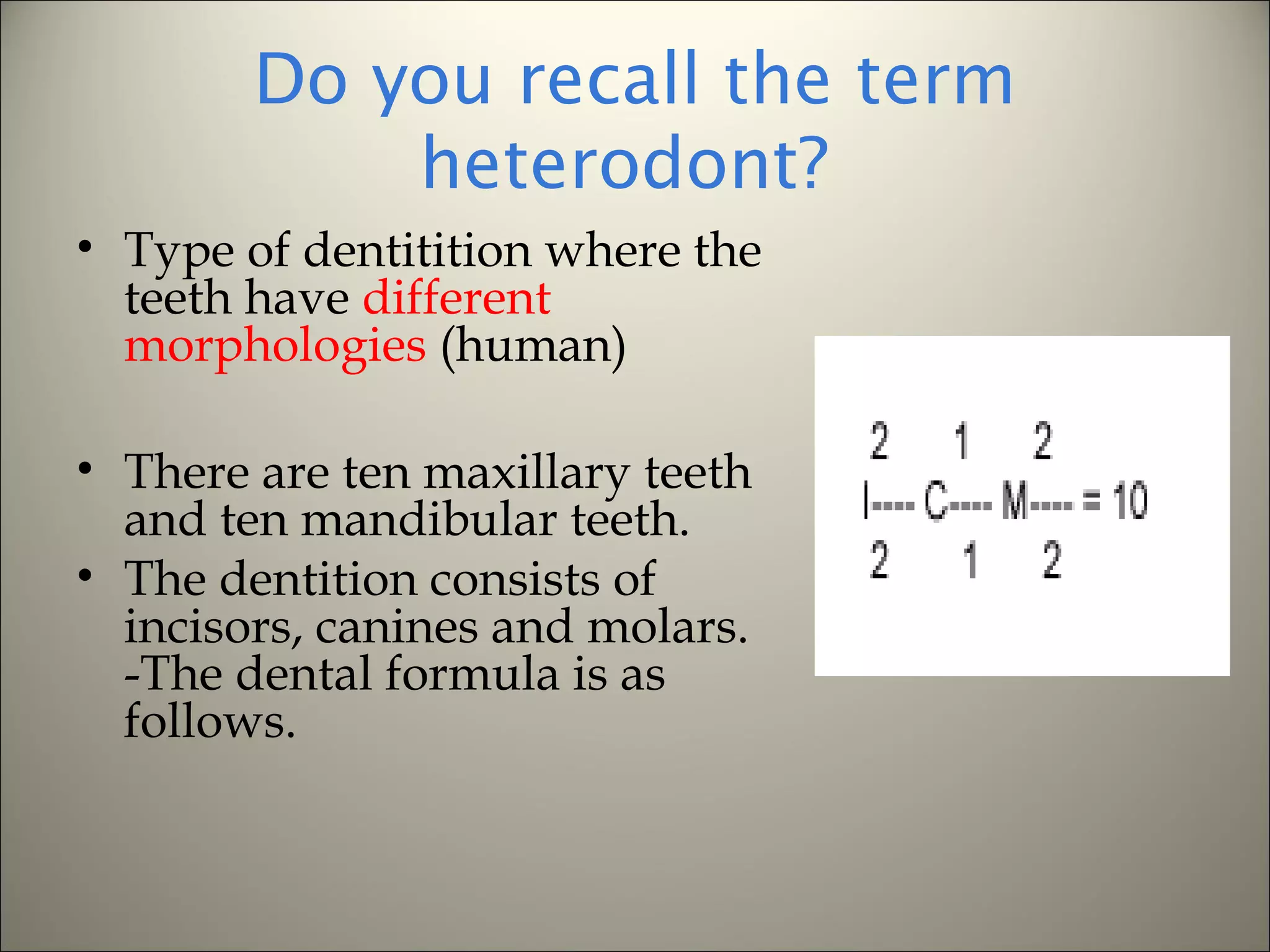 Morphology of tooth | PPT