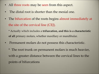 Morphology of tooth | PPT
