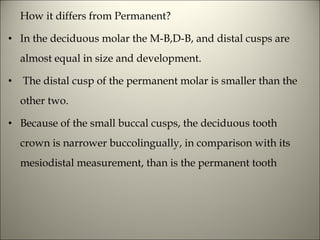 Morphology of tooth | PPT